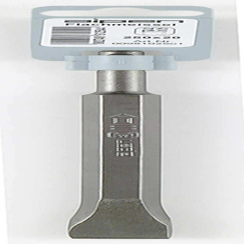 SDS PLUS CHISEL FLAT 20 X 250MM - Mr Tool Guy