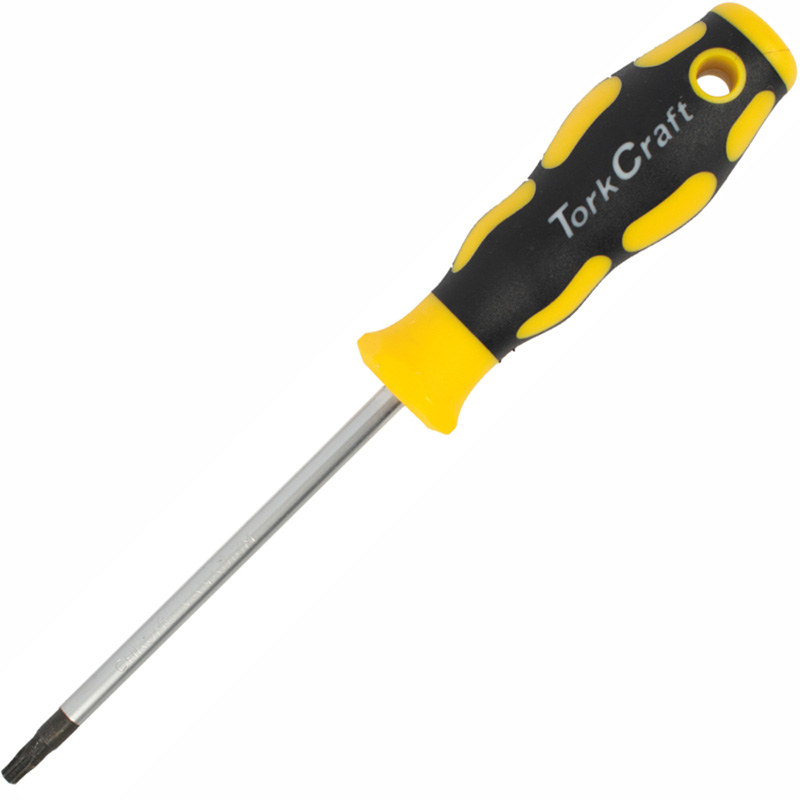 SCREWDRIVER TORX T20 5 X100MM - Mr Tool Guy